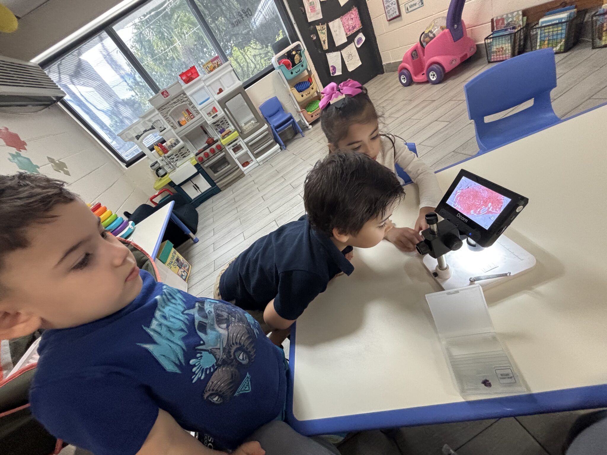 Summer - West Dade Academy